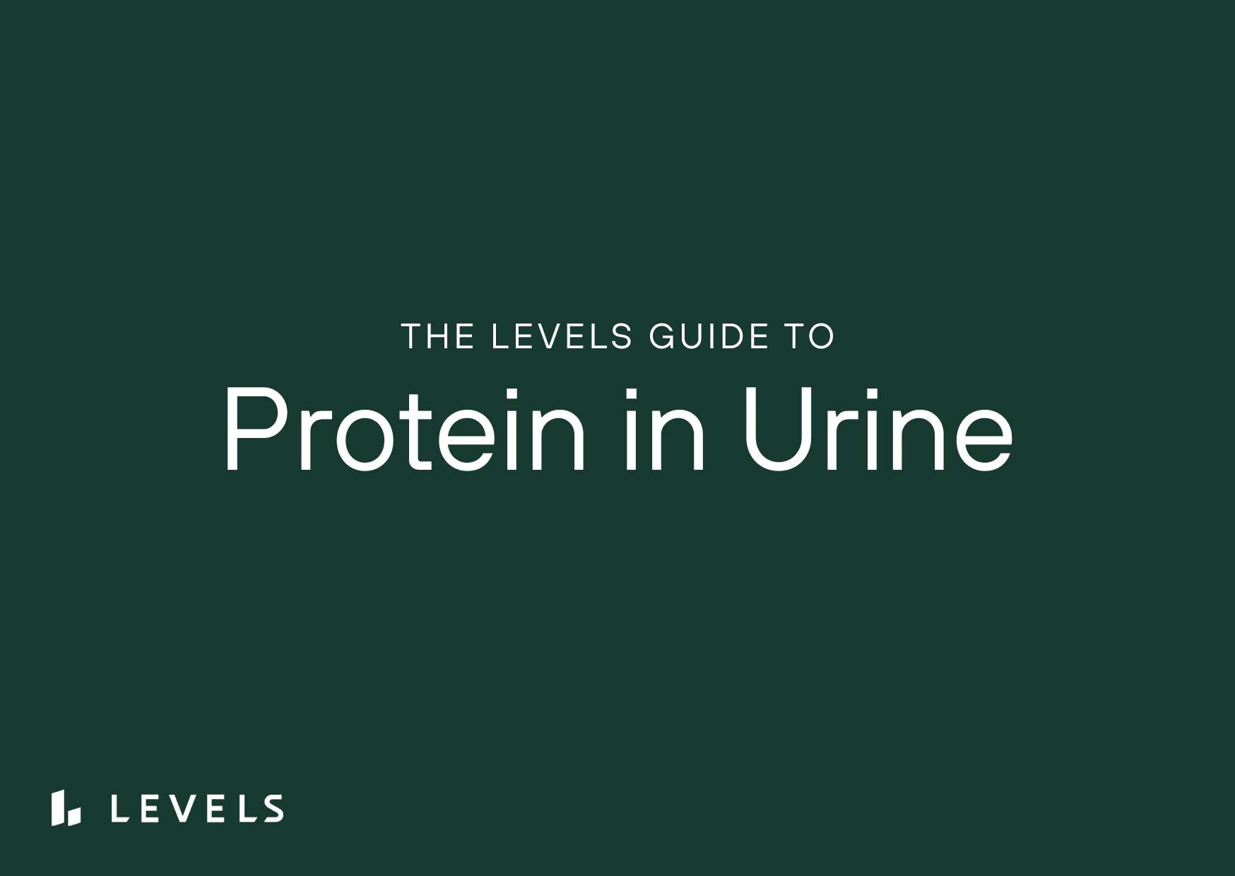 Guide to Protein in Urine | Levels | Levels