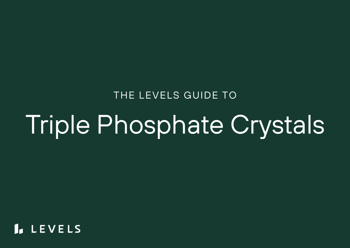 Guide to Triple Phosphate Crystals in Urine | Levels | Levels