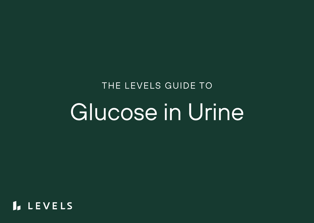 Guide to Glucose in Urine | Levels | Levels
