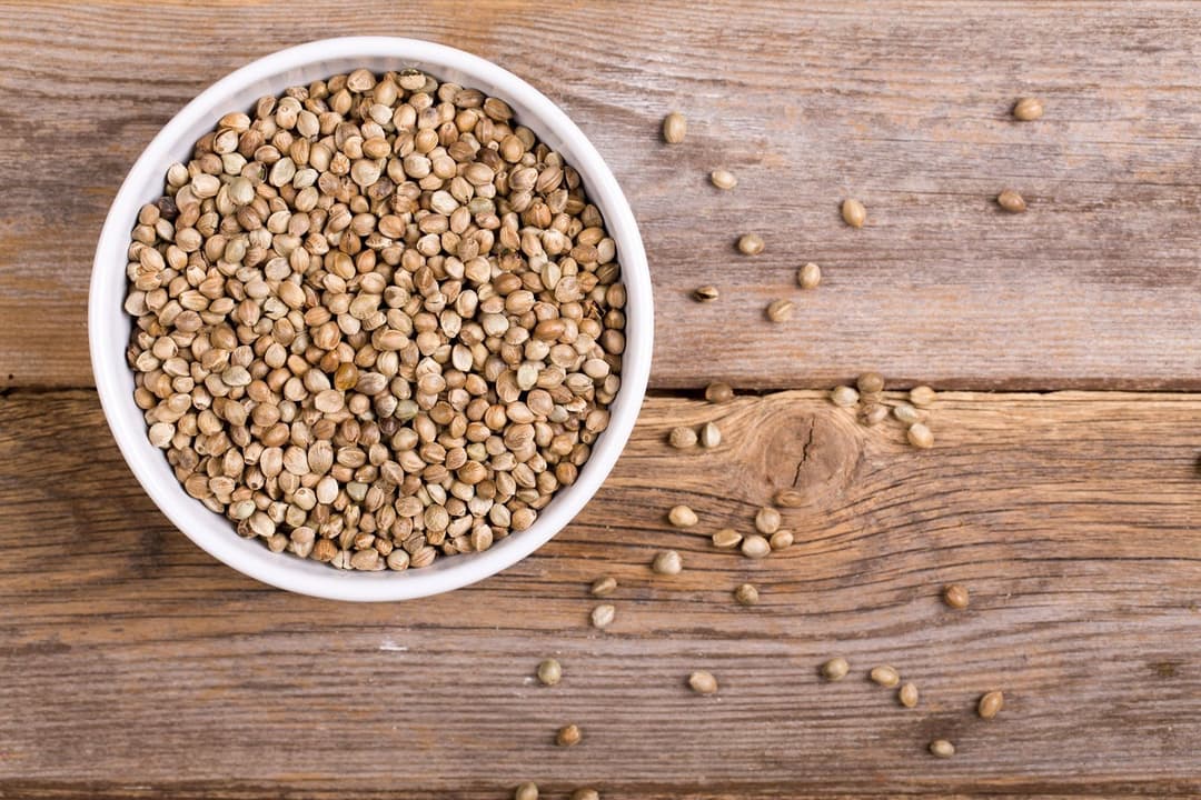 Foods we love: Hemp seeds | Levels | Levels