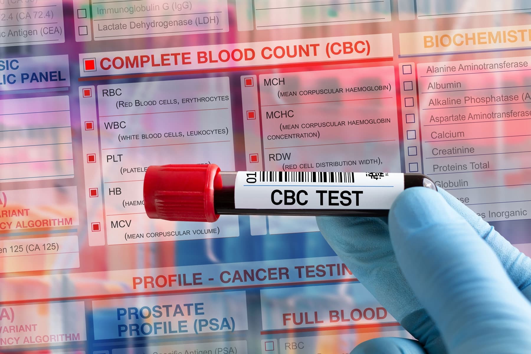 Understanding a complete blood count test | Levels | Levels