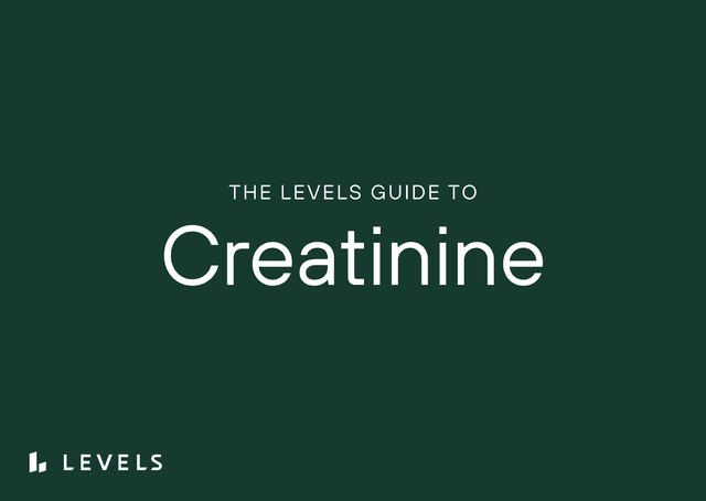 Guide to Creatinine | Levels | Levels