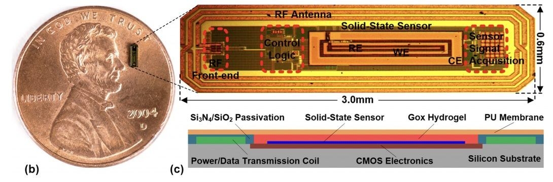 The future of wearable and implantable bio-monitoring | Levels | Levels